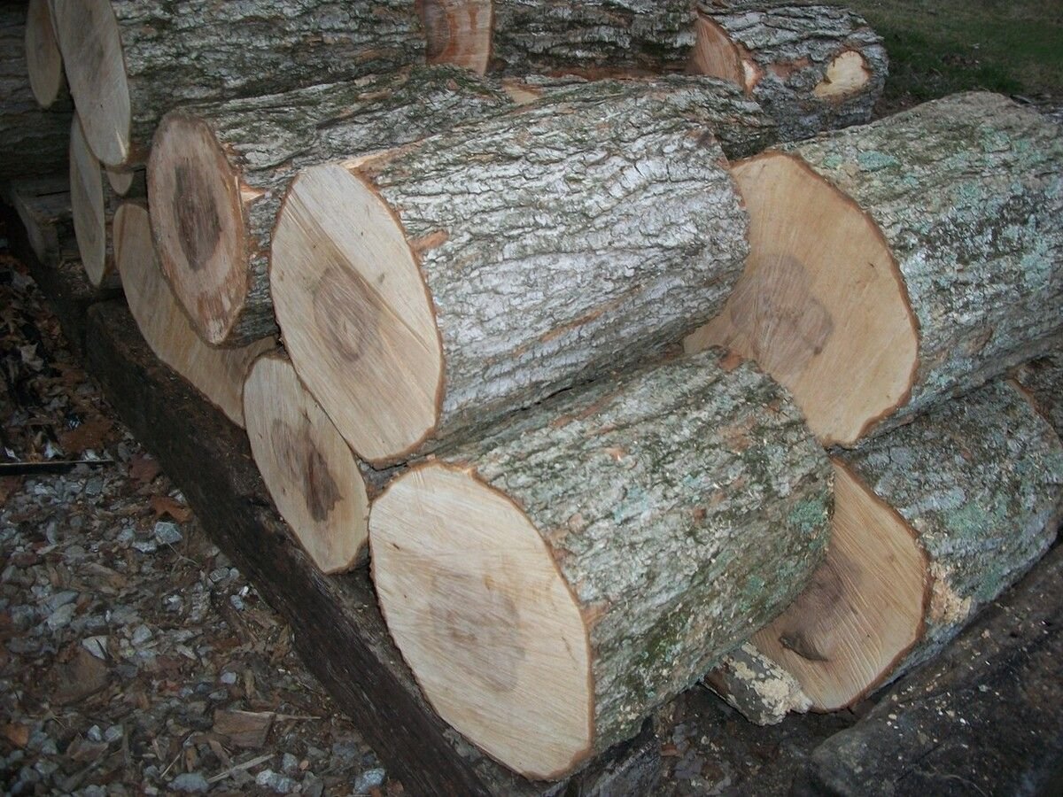 is silver maple good for woodworking - Wood Craft Wiz